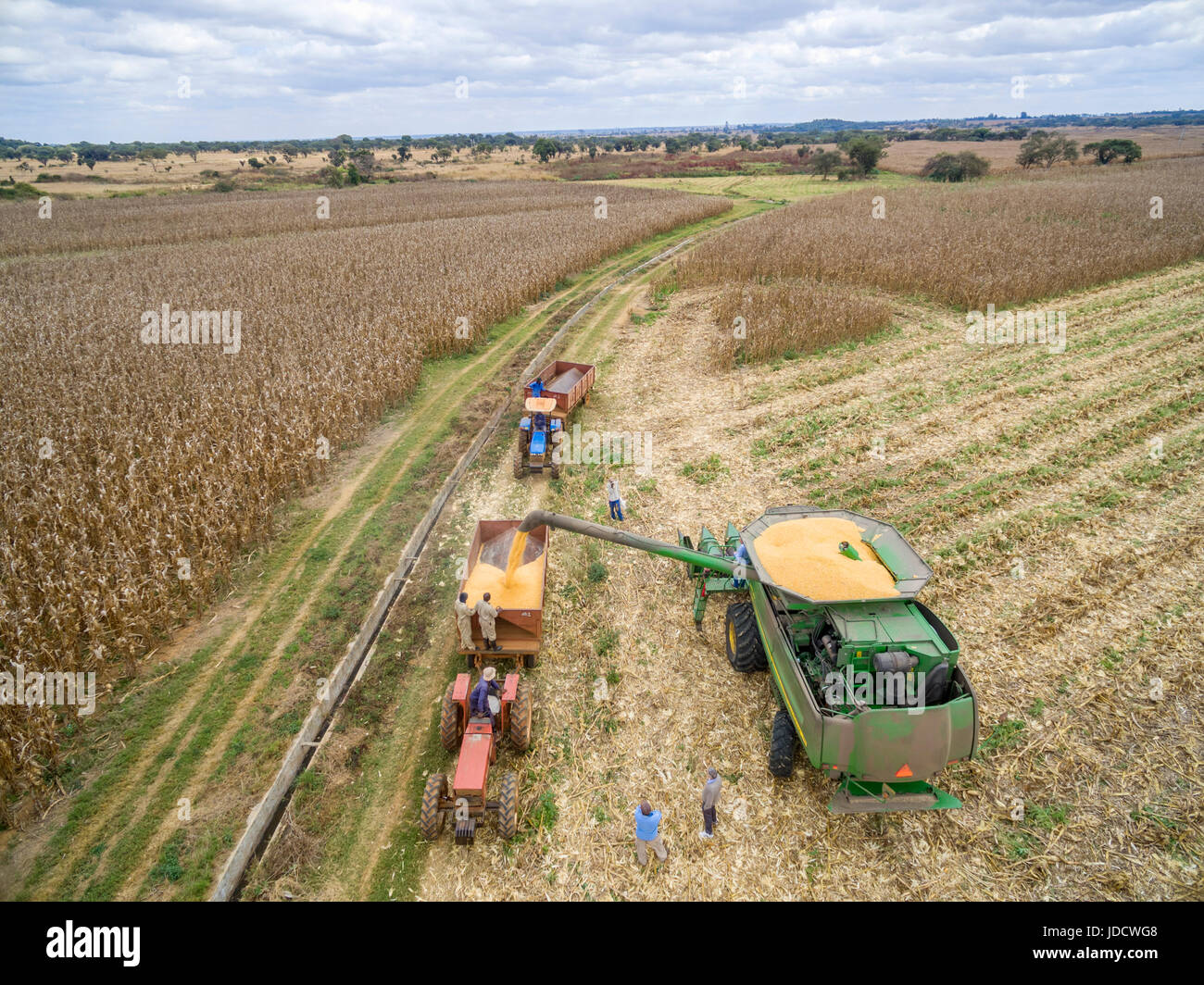 Maize crop commercial agriculture zimbabwe hi-res stock photography and ...