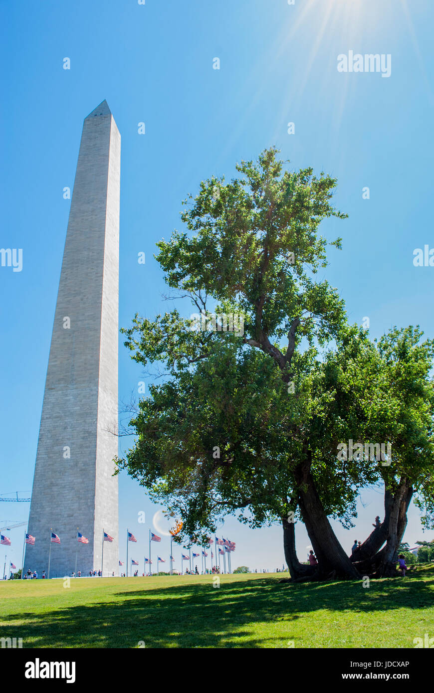 National Monument and Tree Stock Photo - Alamy
