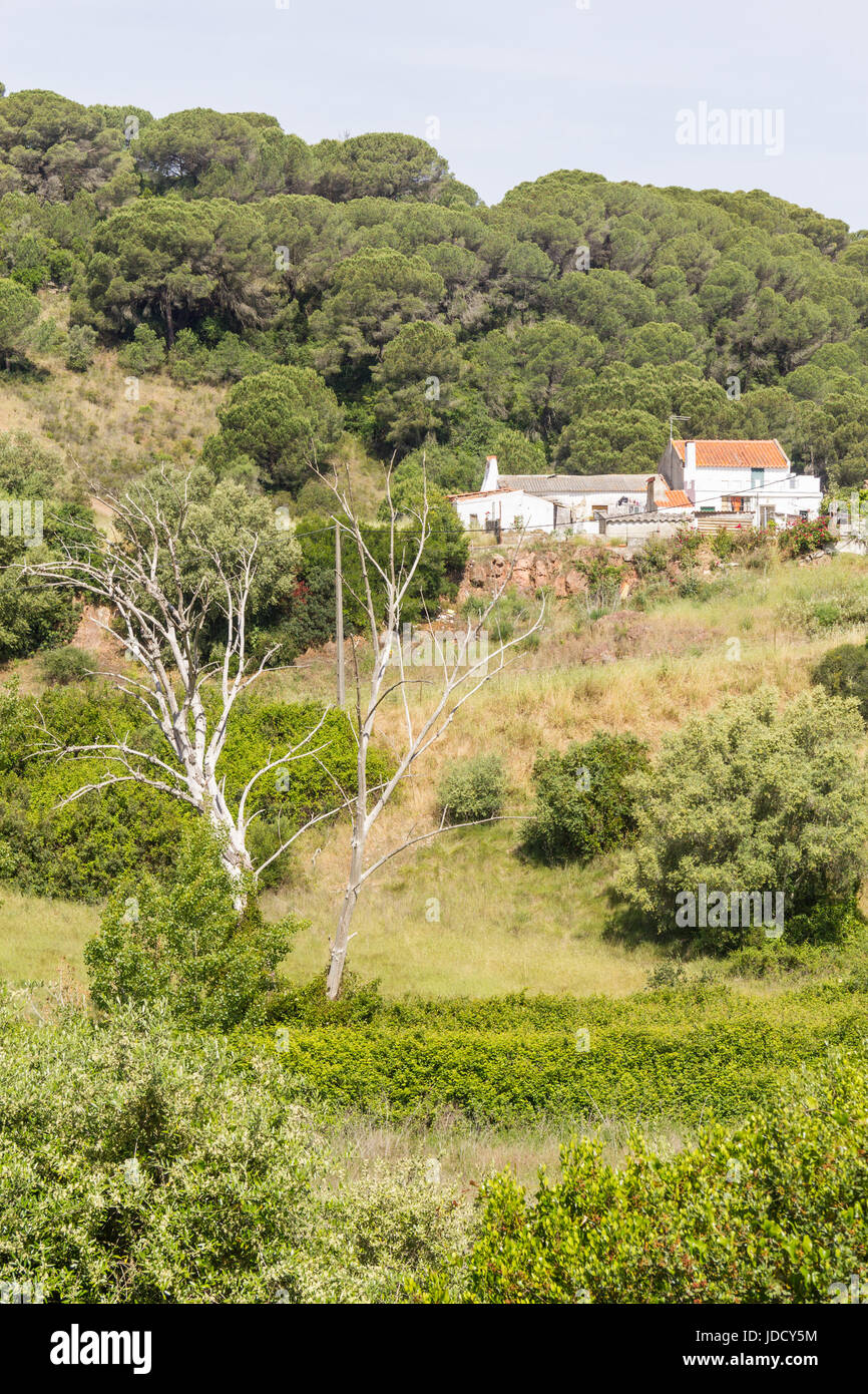 Farm house in Santiago do Cacem, Alentejo, Portugal Stock Photo - Alamy