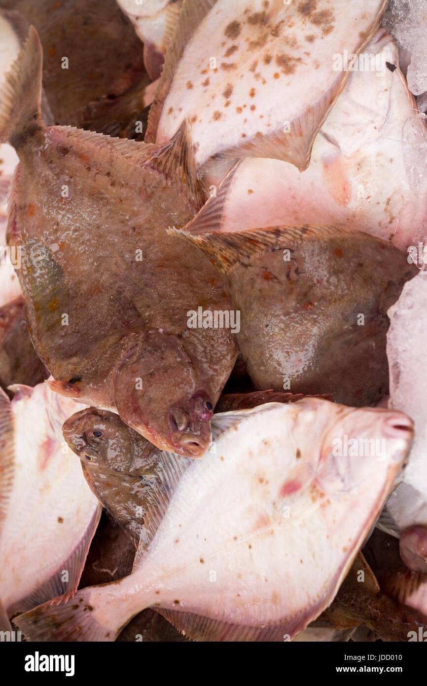 Black flounder hi-res stock photography and images - Alamy