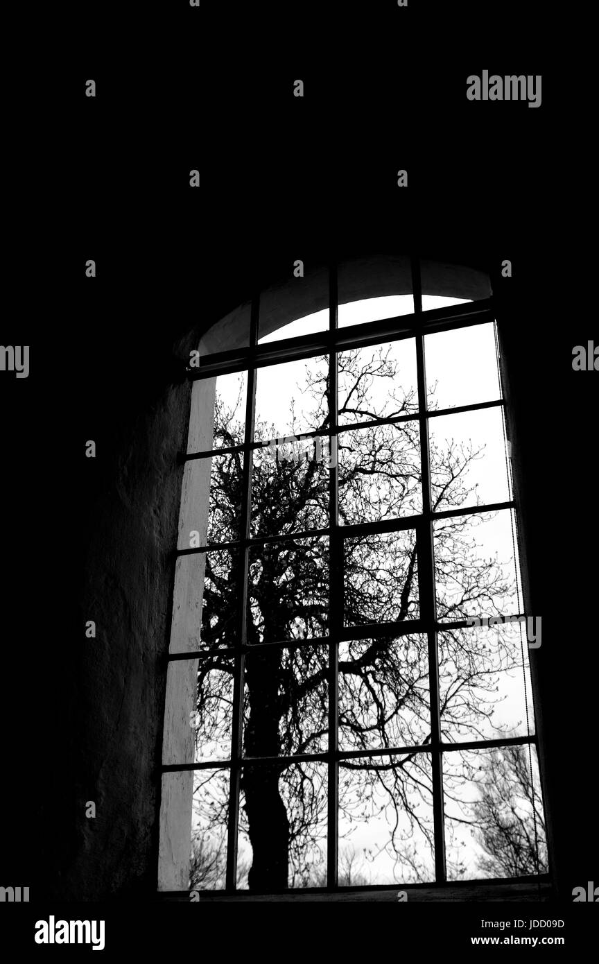 Window, Windows, Window frame, Window view, Architecture Stock Photo ...