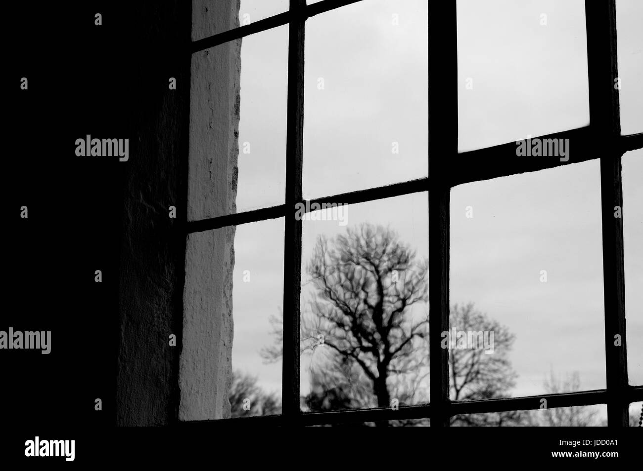 Window, Windows, Window frame, Window view, Architecture Stock Photo ...