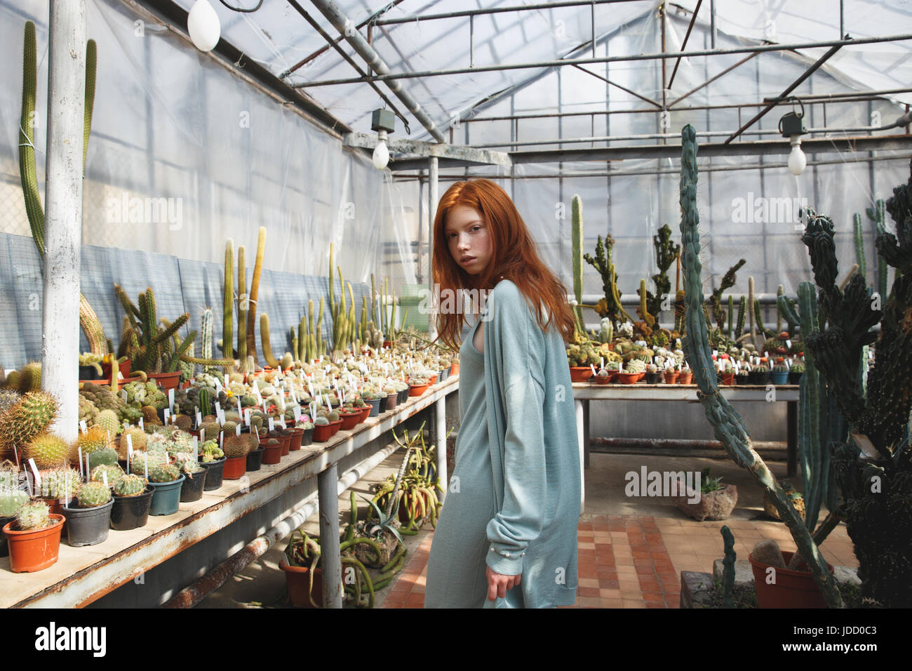Portrait of an attractive redheaded girl standing in a glass house and ...