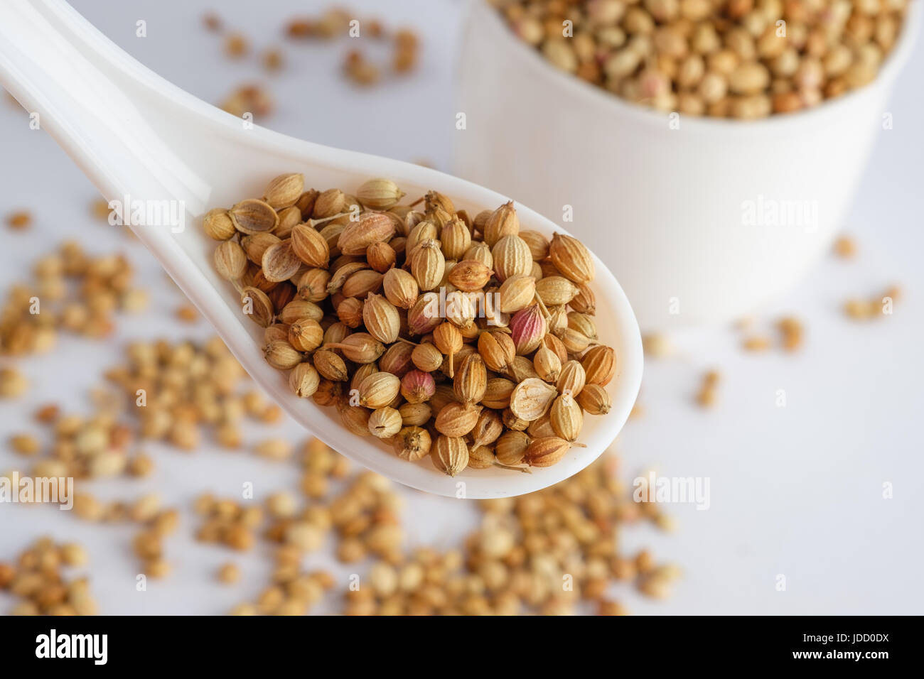 Coriander seeds hi-res stock photography and images - Alamy