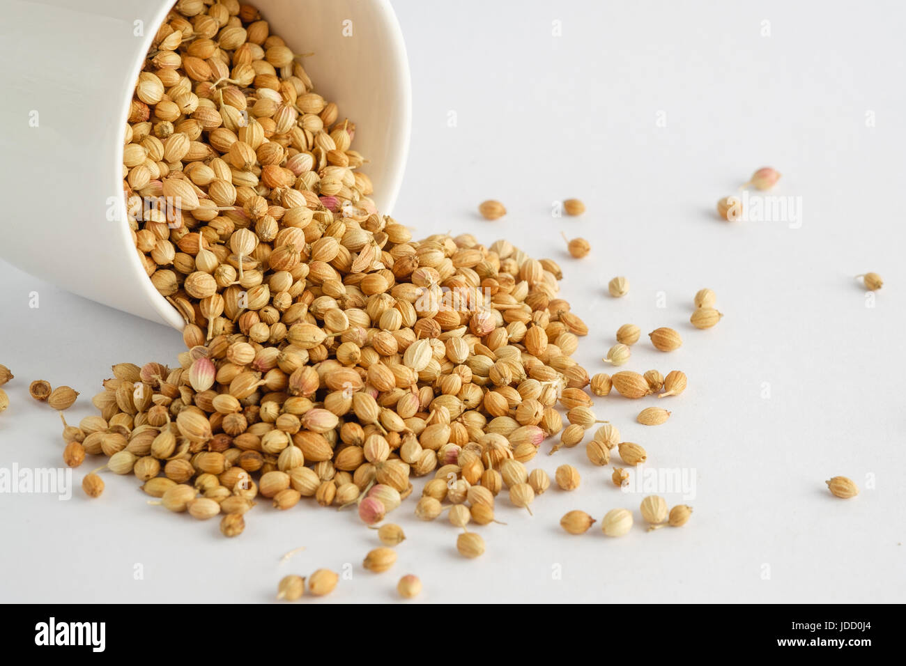 Coriander seeds hi-res stock photography and images - Alamy