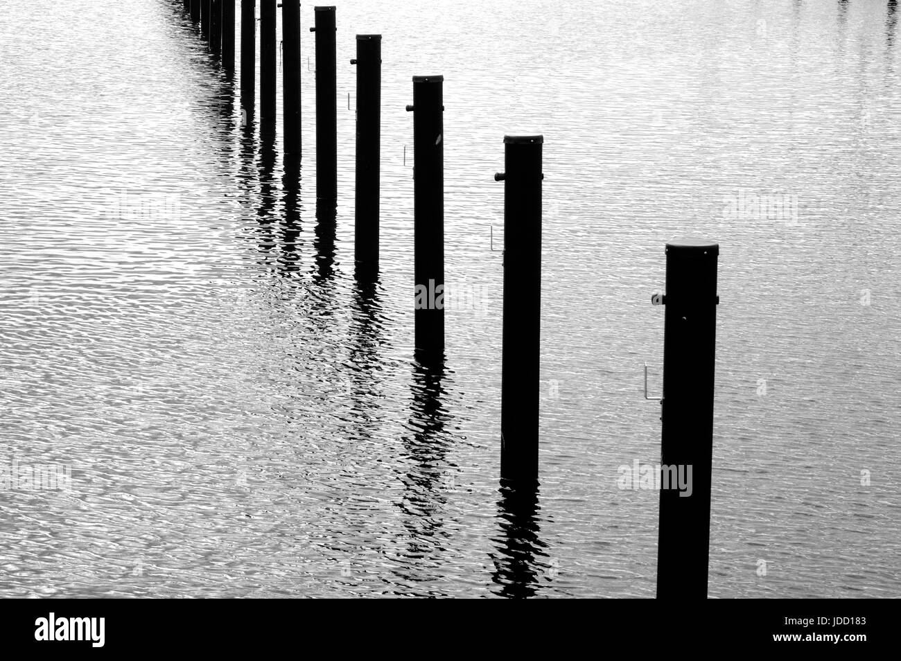 Water piles, Piles, Poles, Pier, Dock Stock Photo - Alamy