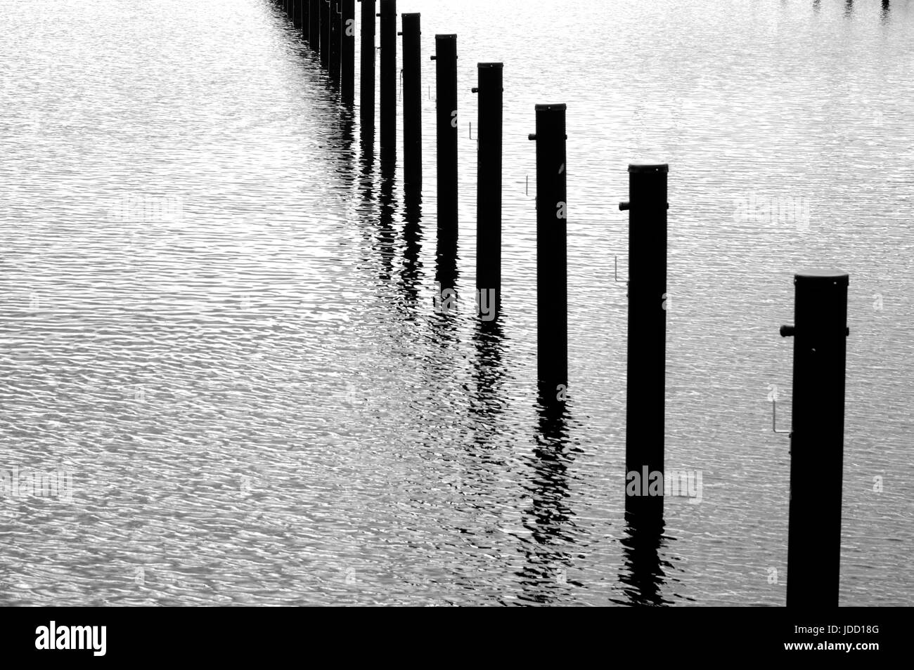 Water piles, Piles, Poles, Pier, Dock Stock Photo - Alamy