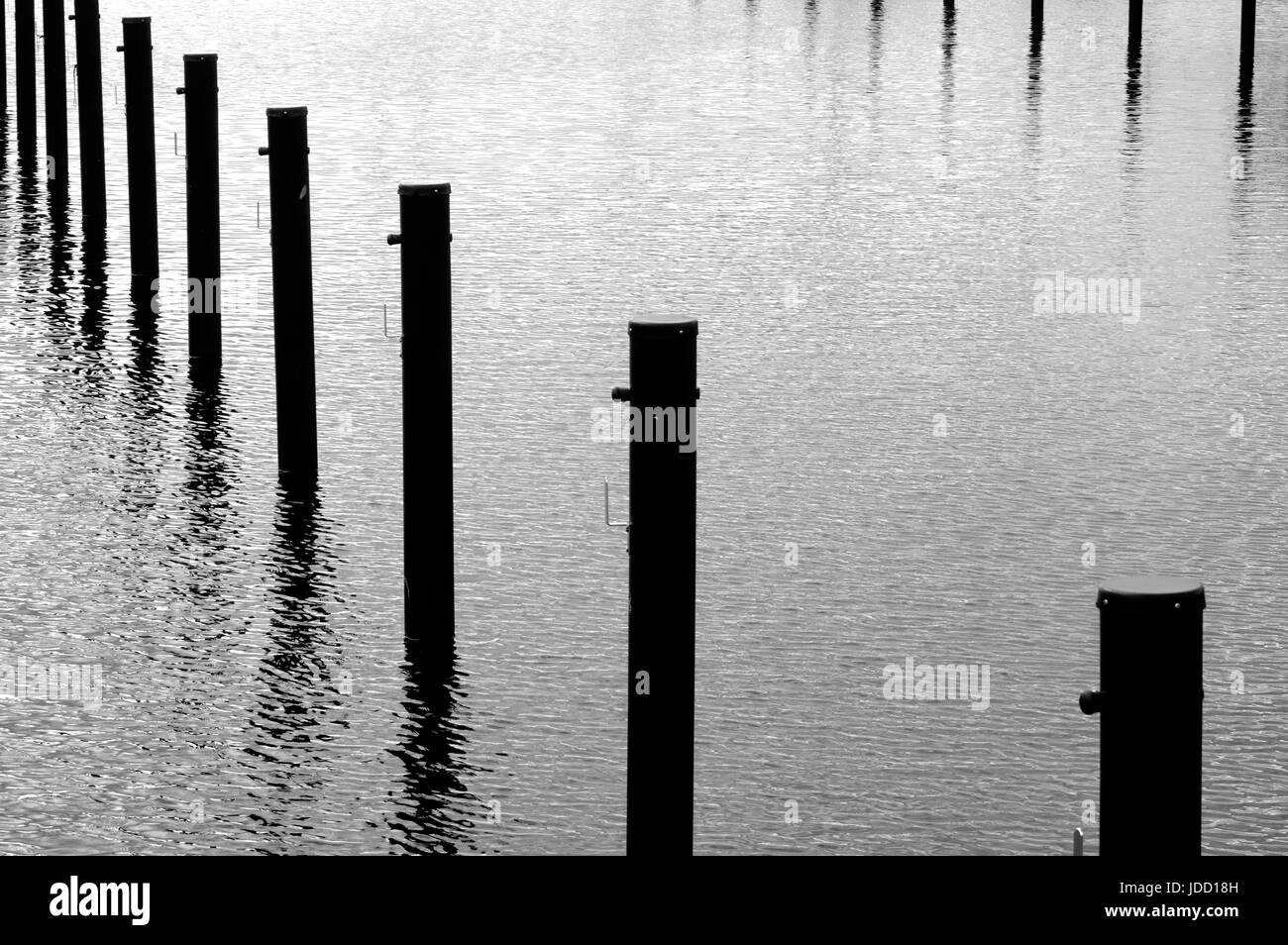 Water piles, Piles, Poles, Pier, Dock Stock Photo - Alamy