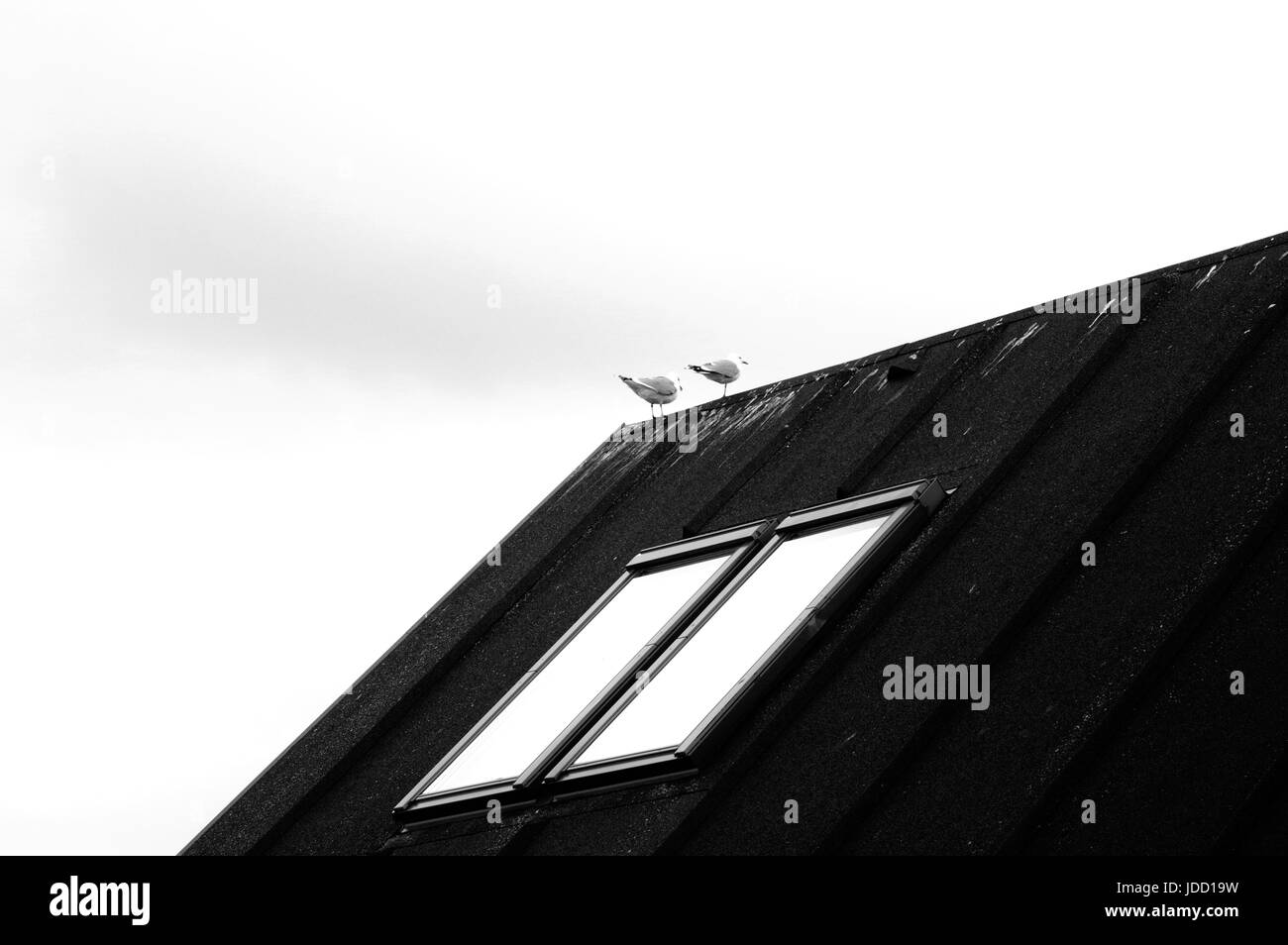Window, Windows, Window frame, Window view, Architecture Stock Photo ...