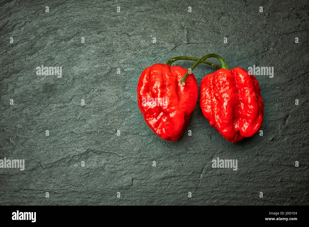 A Carolina Reaper (Capsicum chinense), confirmed by the Guinness World ...