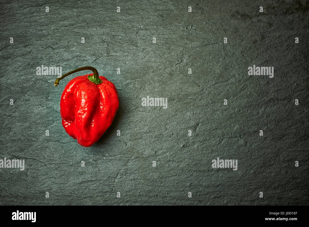 A Carolina Reaper (Capsicum chinense), confirmed by the Guinness World ...