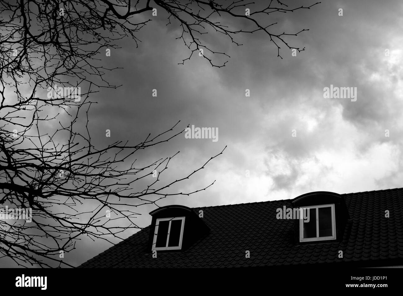 Window, Windows, Window frame, Window view, Architecture Stock Photo ...