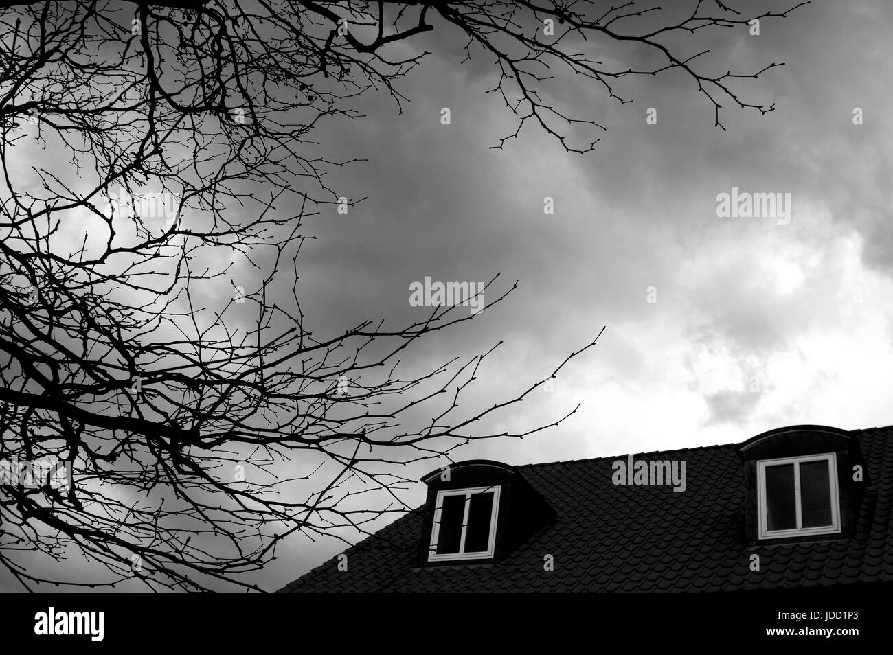 Window, Windows, Window frame, Window view, Architecture Stock Photo ...