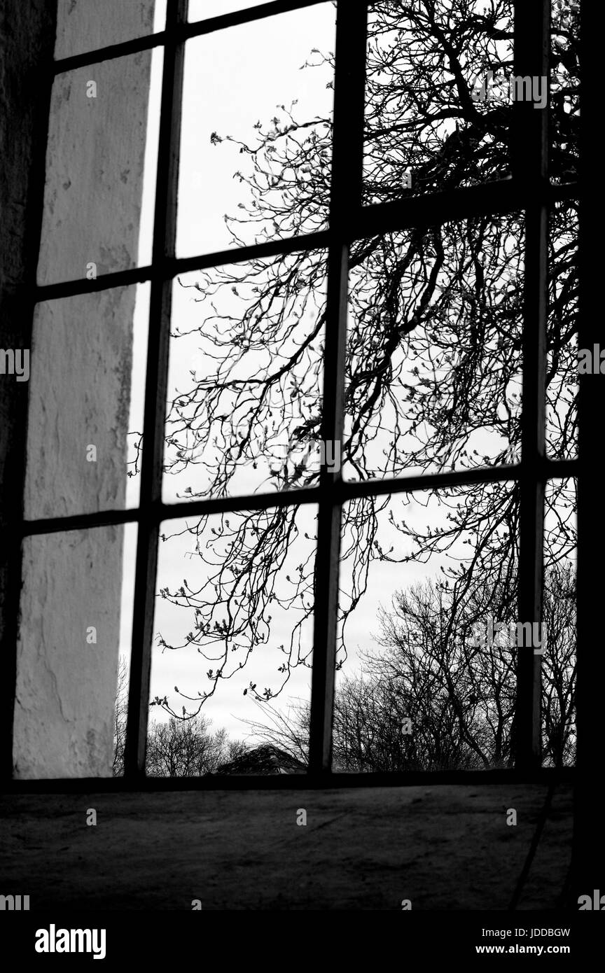 Window, Windows, Window frame, Window view, Architecture Stock Photo ...