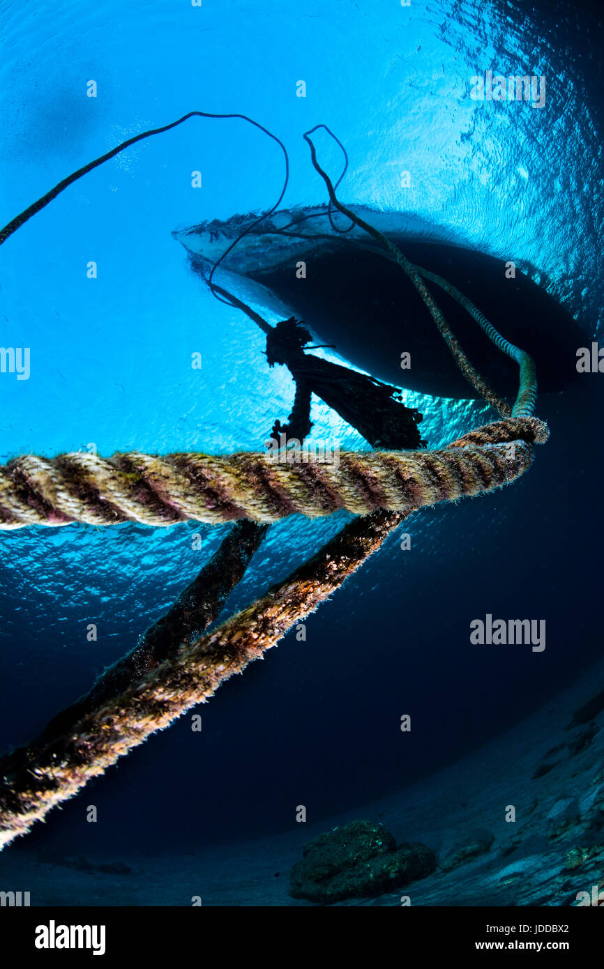 Underwater ropes hi-res stock photography and images - Alamy