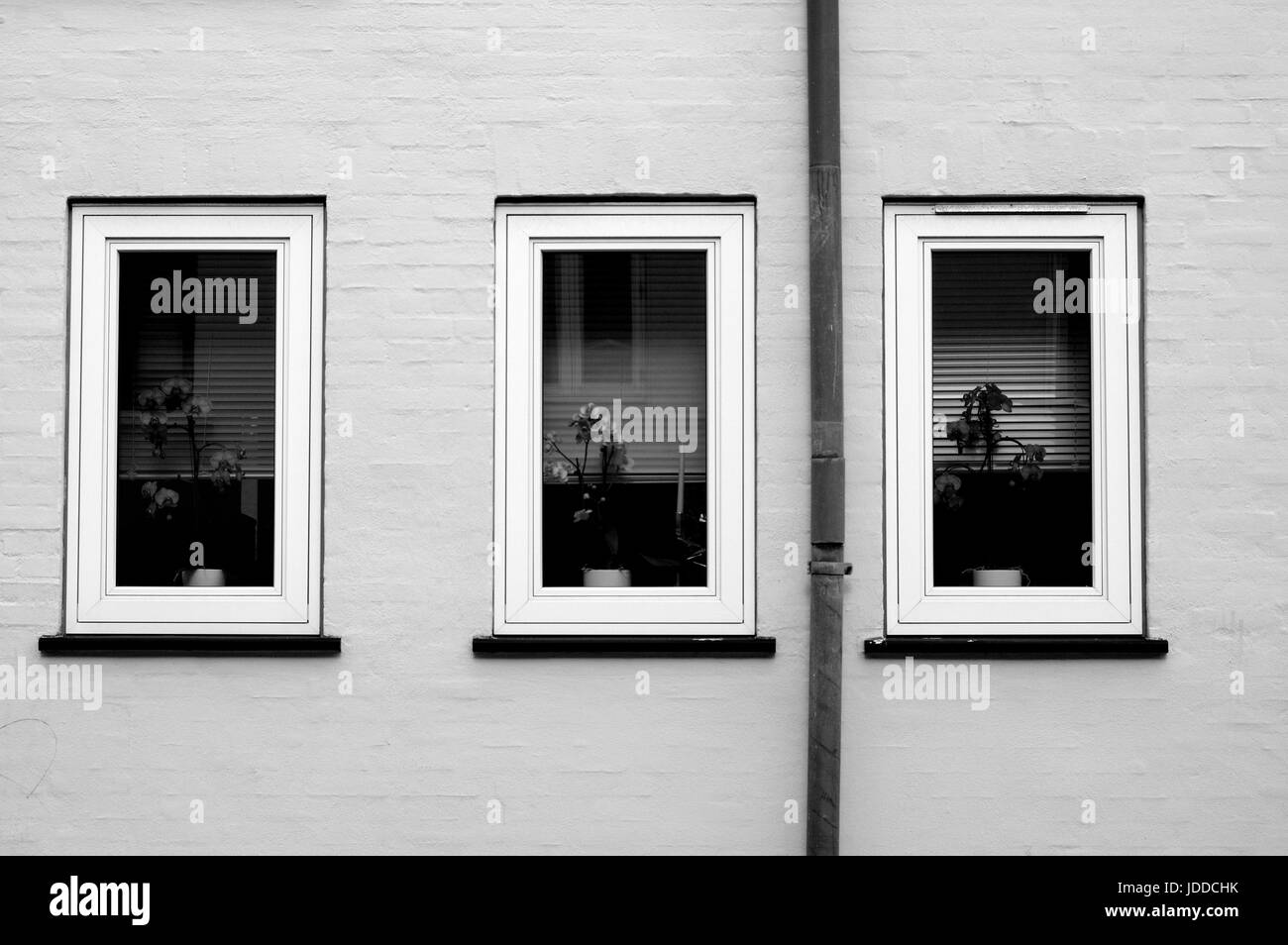 Window, Windows, Window frame, Window view, Architecture Stock Photo ...