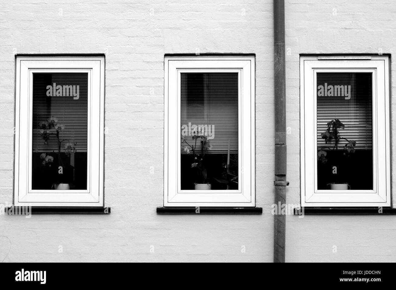 Window, Windows, Window frame, Window view, Architecture Stock Photo ...