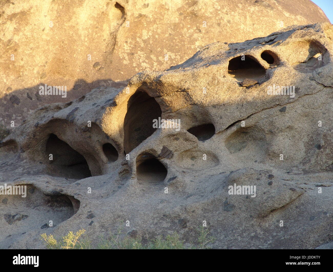 Rocks that look like animals hi-res stock photography and images - Alamy
