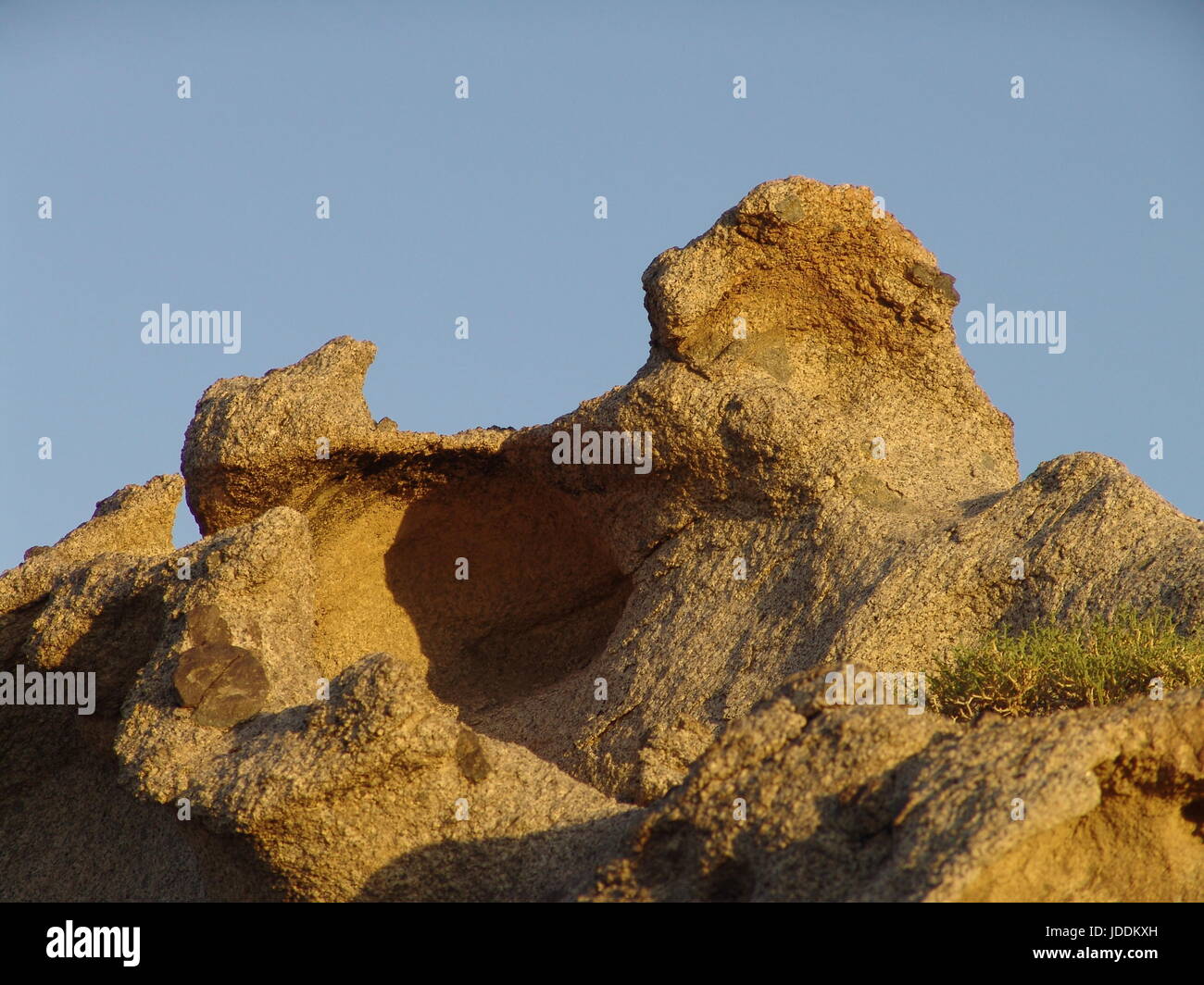 Rocks that look like animals hi-res stock photography and images - Alamy