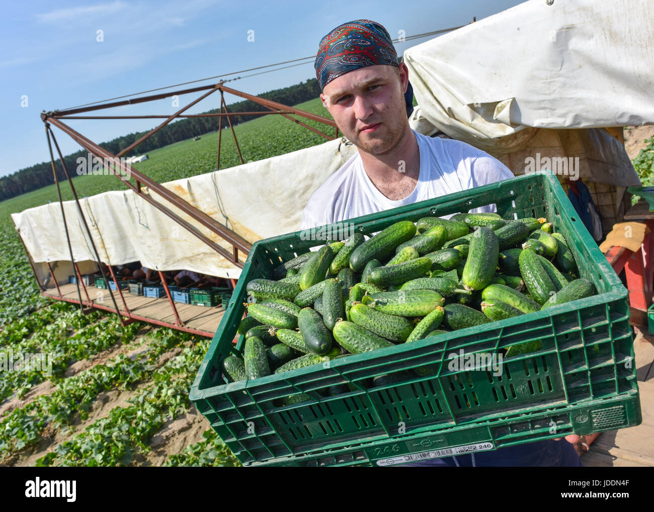Ukrainian farmer in field hi-res stock photography and images - Alamy