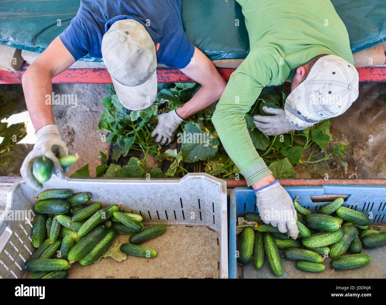 Spreewald pickle germany hi-res stock photography and images - Alamy
