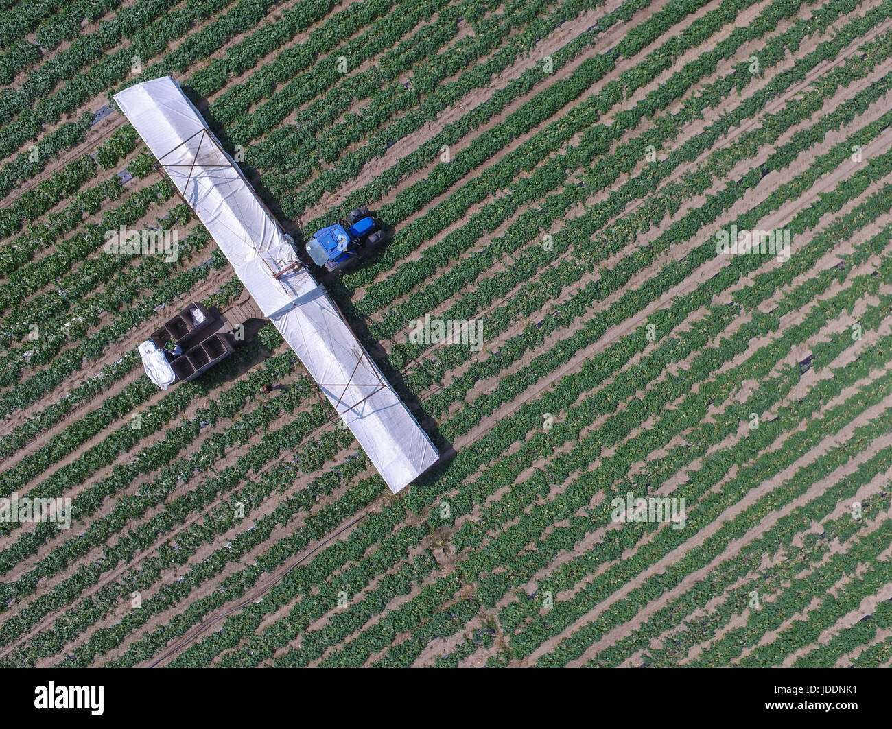 Spreewald pickle germany hi-res stock photography and images - Alamy