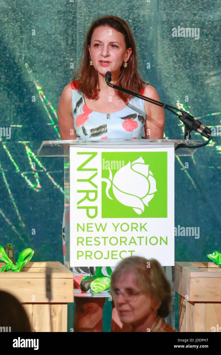 New York, NY, USA. 19th June, 2017. Amanda Riegel at arrivals for New ...