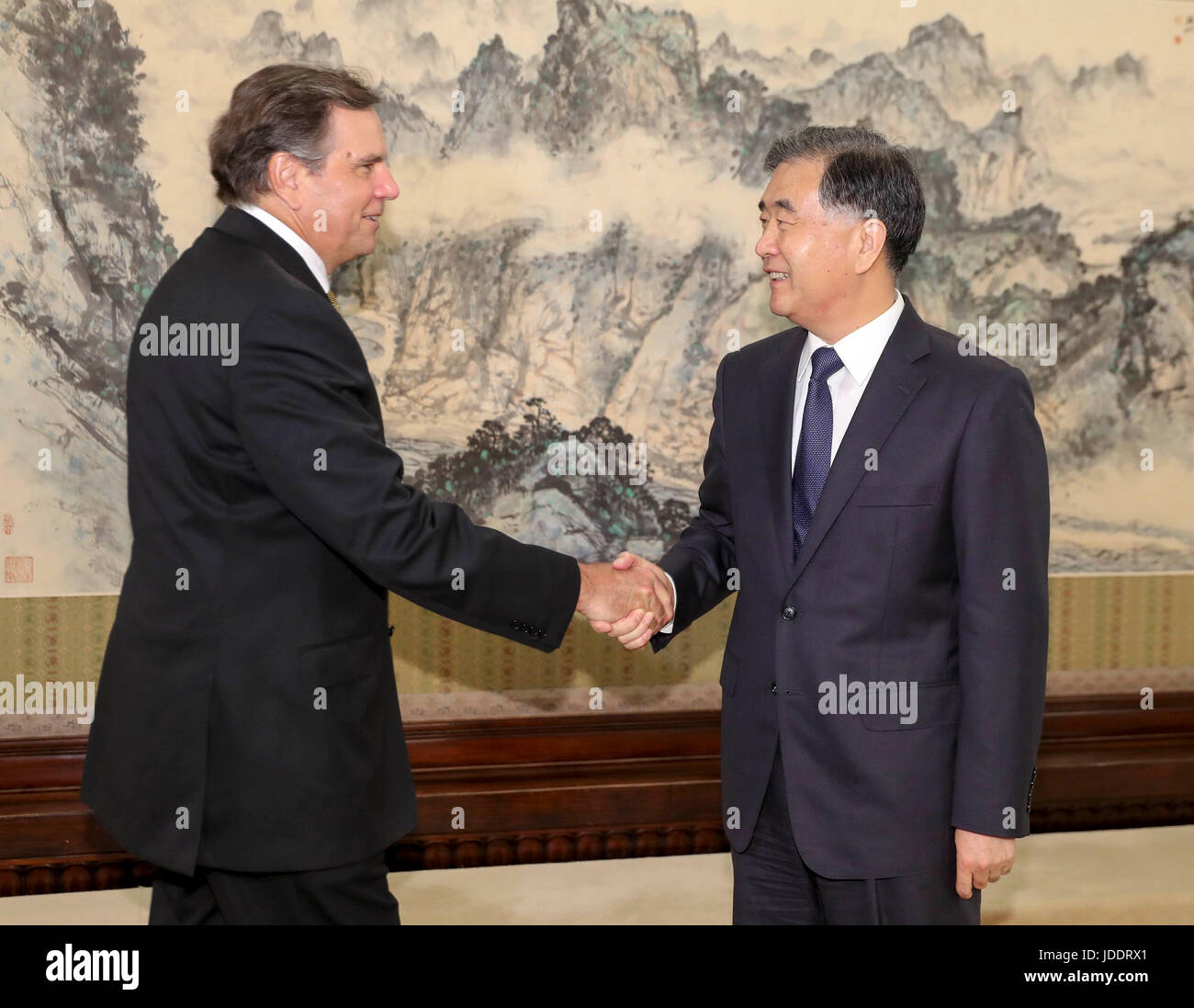 (170620) -- BEIJING, June 20, 2017 (Xinhua) -- Chinese Vice Premier ...