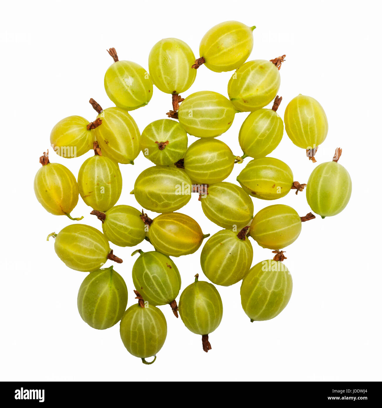 Inside a gooseberry Cut Out Stock Images & Pictures - Alamy