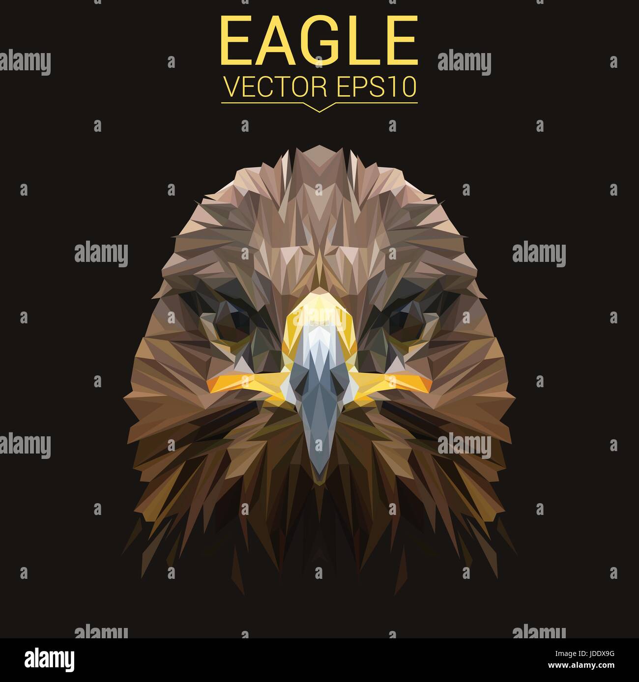 Eagle low poly design vector illustration Stock Vector Image & Art - Alamy