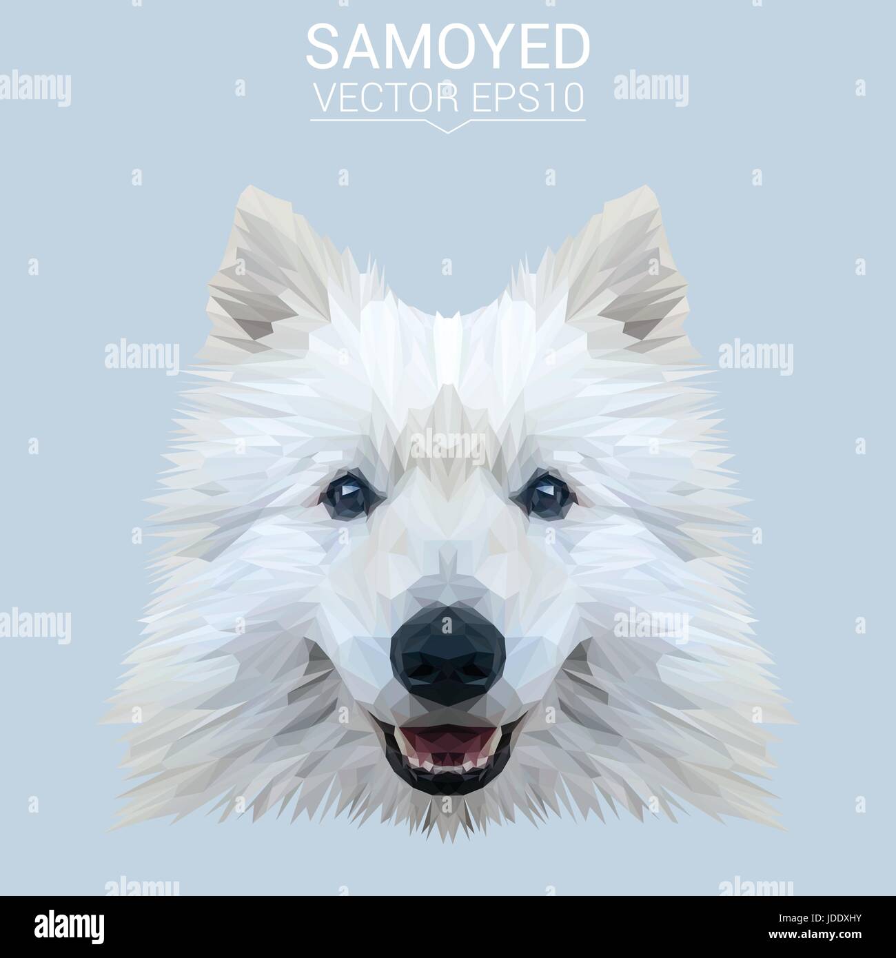 Siberian samoyed Stock Vector Images - Alamy
