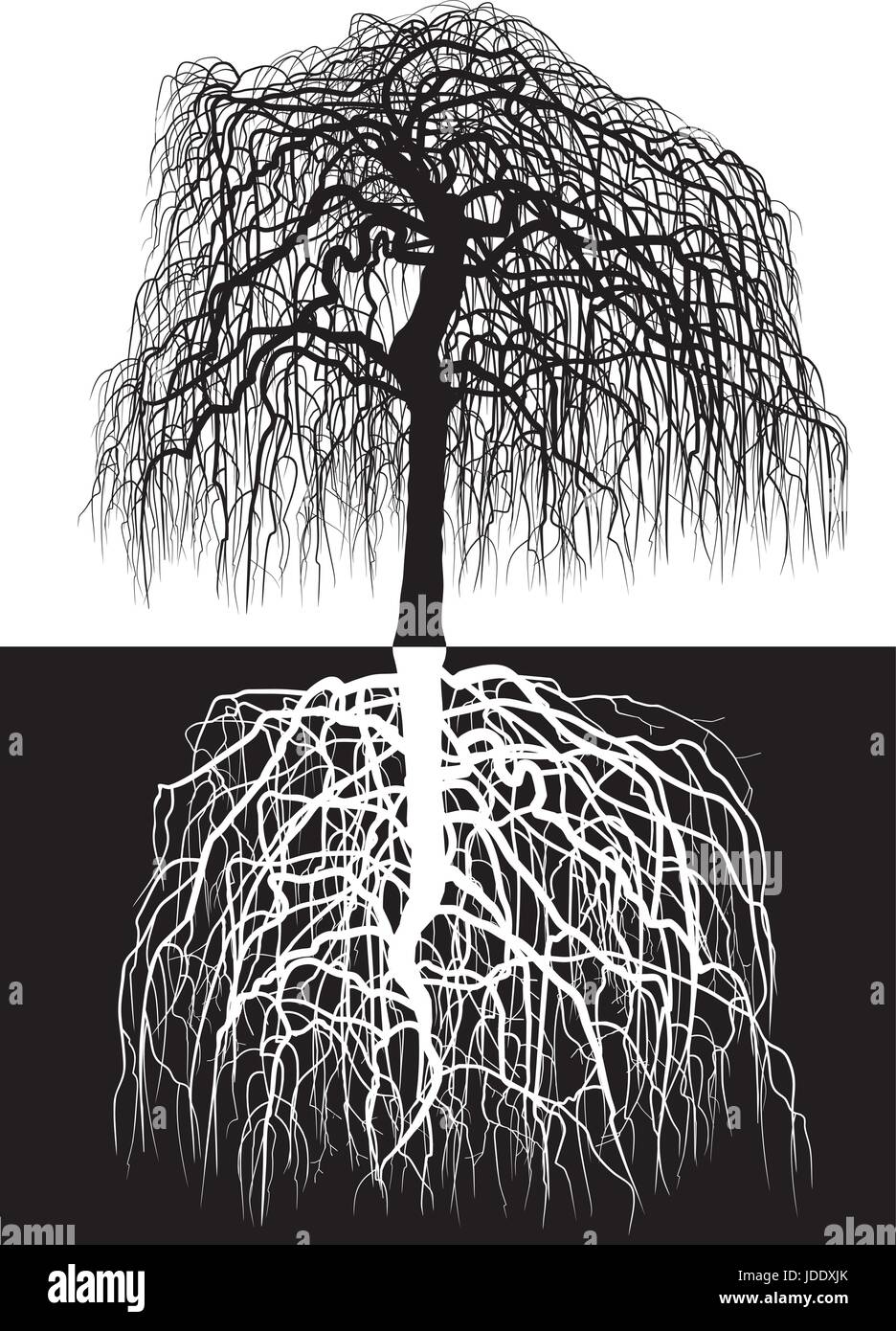 Tree drawing with roots hi-res stock photography and images - Alamy