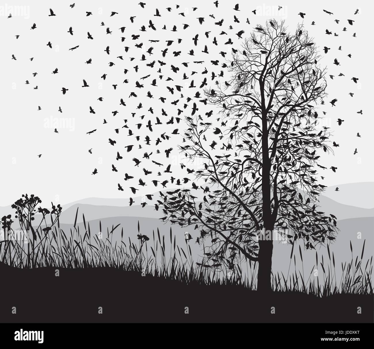 Chestnut wild Stock Vector Images - Alamy