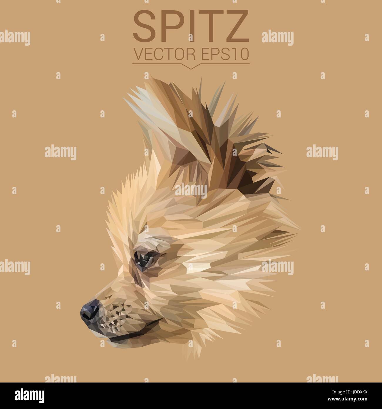 Spitz dog cartoon illustration hi-res stock photography and images - Alamy