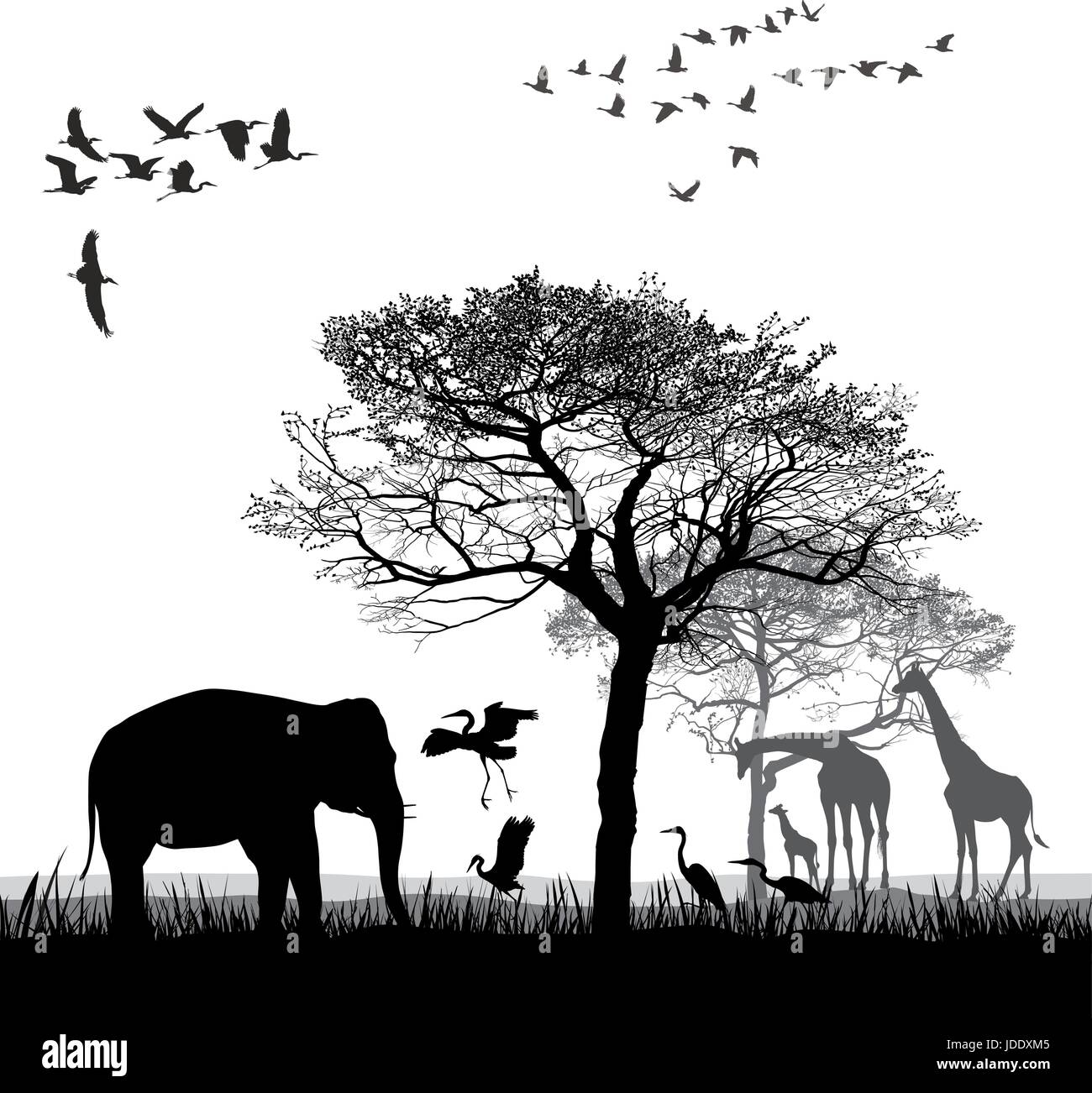 Africa Safari Clip Art