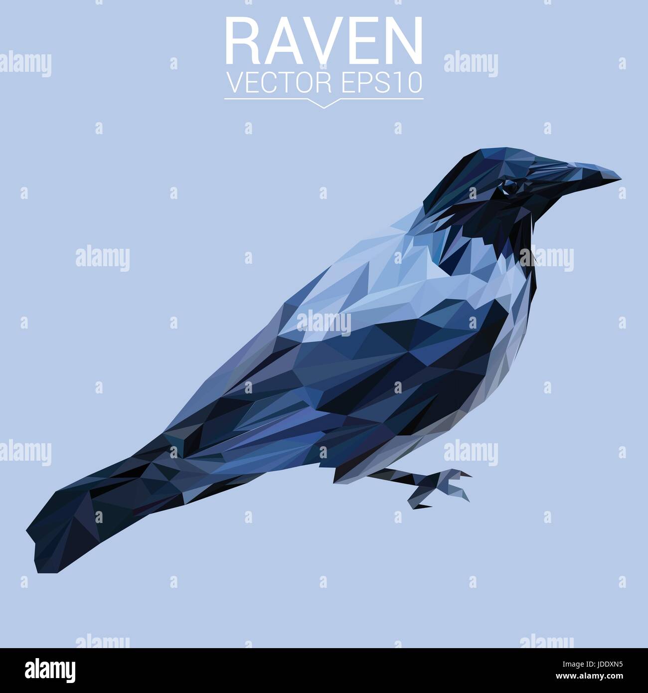 Raven bird low poly design Stock Vector Image & Art - Alamy