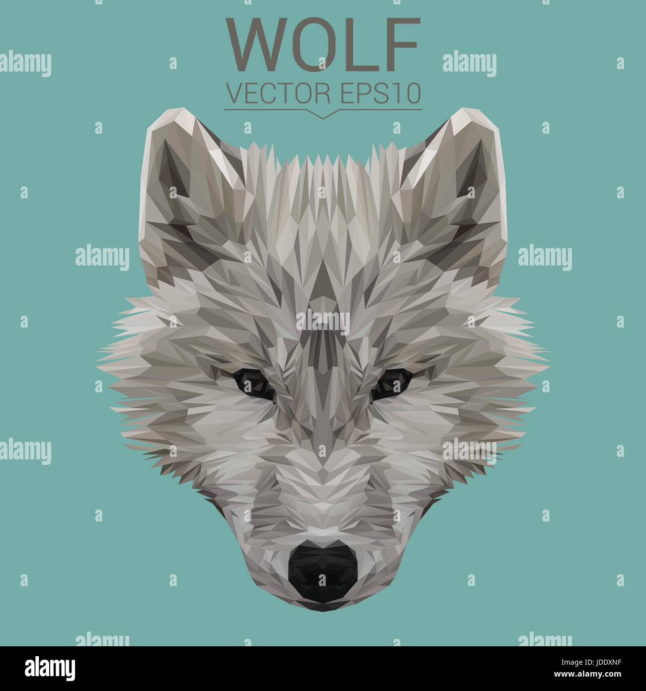 Siberian Wolf Illustration High Resolution Stock Photography and Images ...