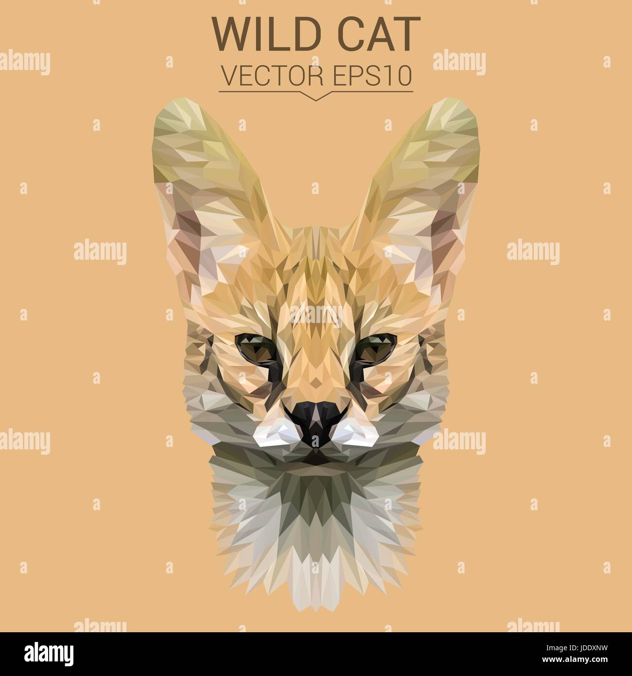 Wild cat lynx low poly design Stock Vector Image & Art - Alamy