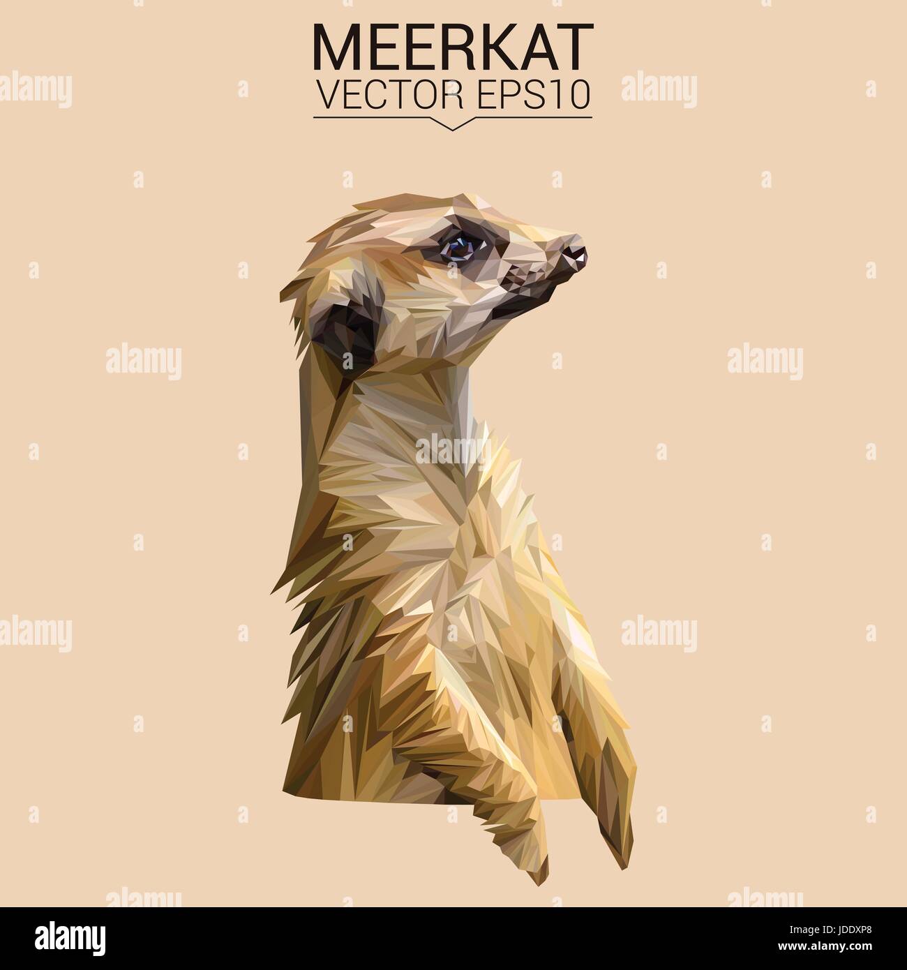 Mongoose illustration hi-res stock photography and images - Alamy