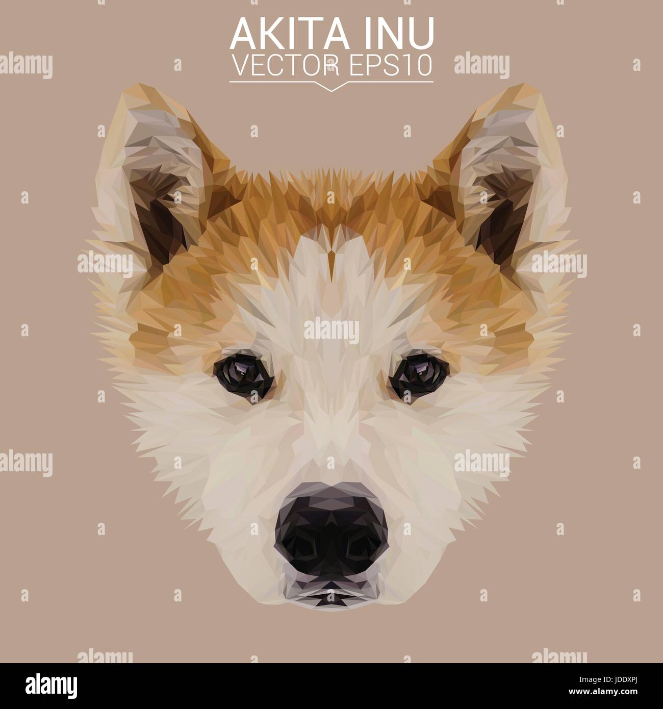 Akita Inu dog animal low poly design. Triangle vector illustration ...
