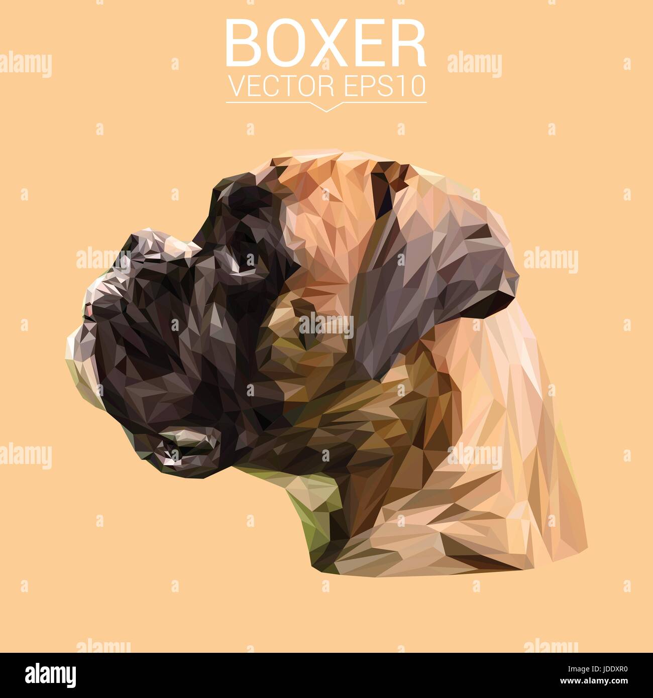 Boxer dog cartoon illustration Stock Vector Images - Alamy