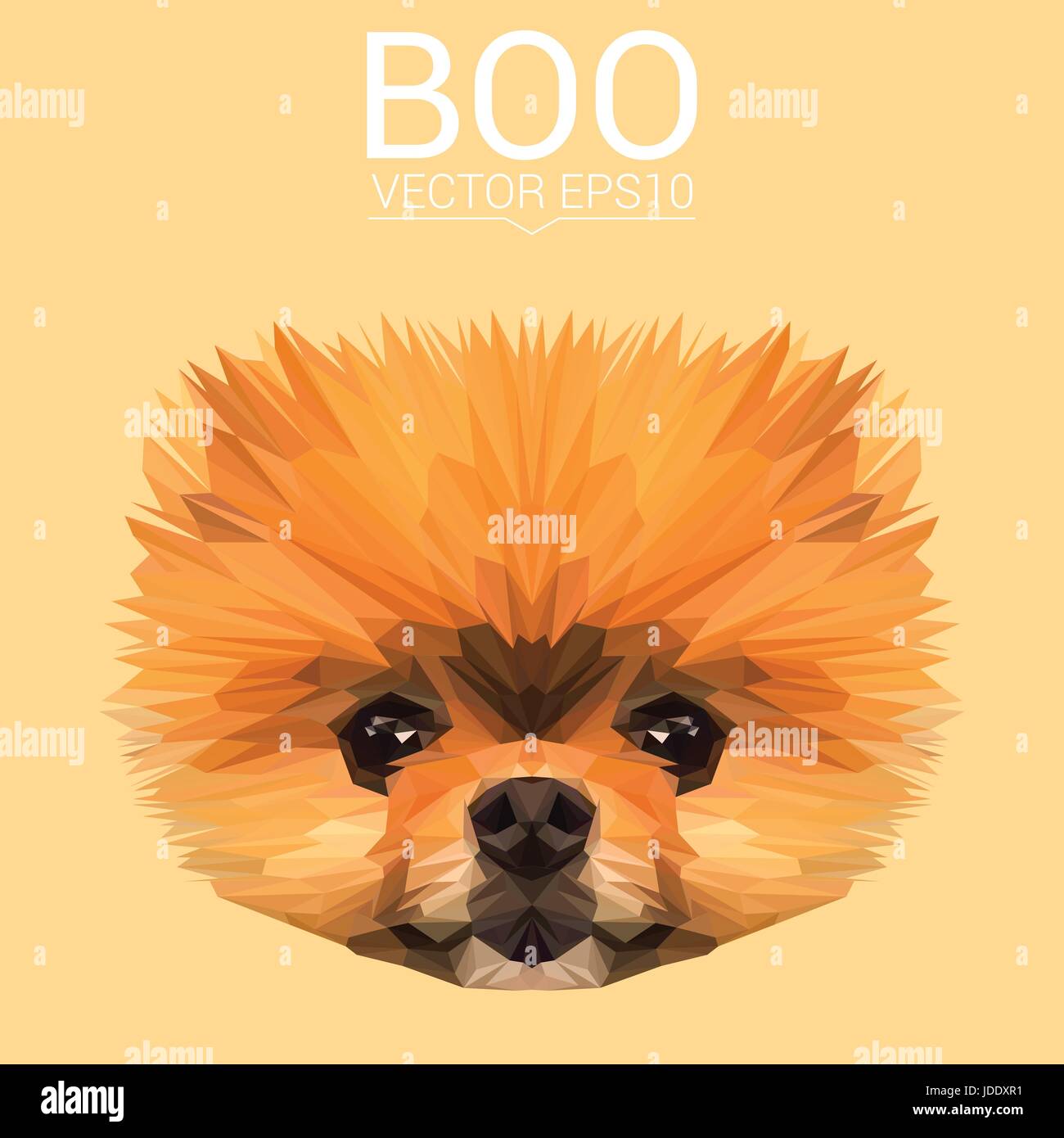 Pomeranian pet Stock Vector Images - Alamy