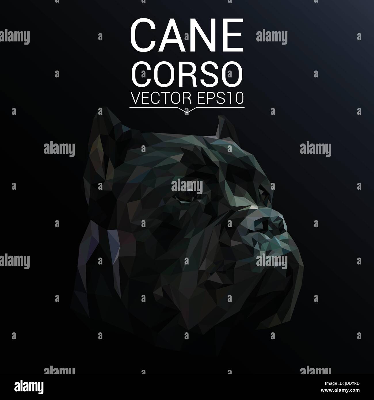 Cane Corso dog animal low poly design. Triangle vector illustration ...