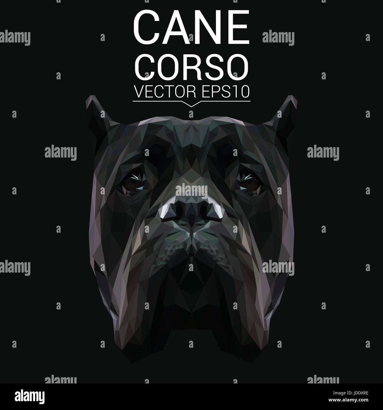 Cane Corso dog animal low poly design. Triangle vector illustration ...