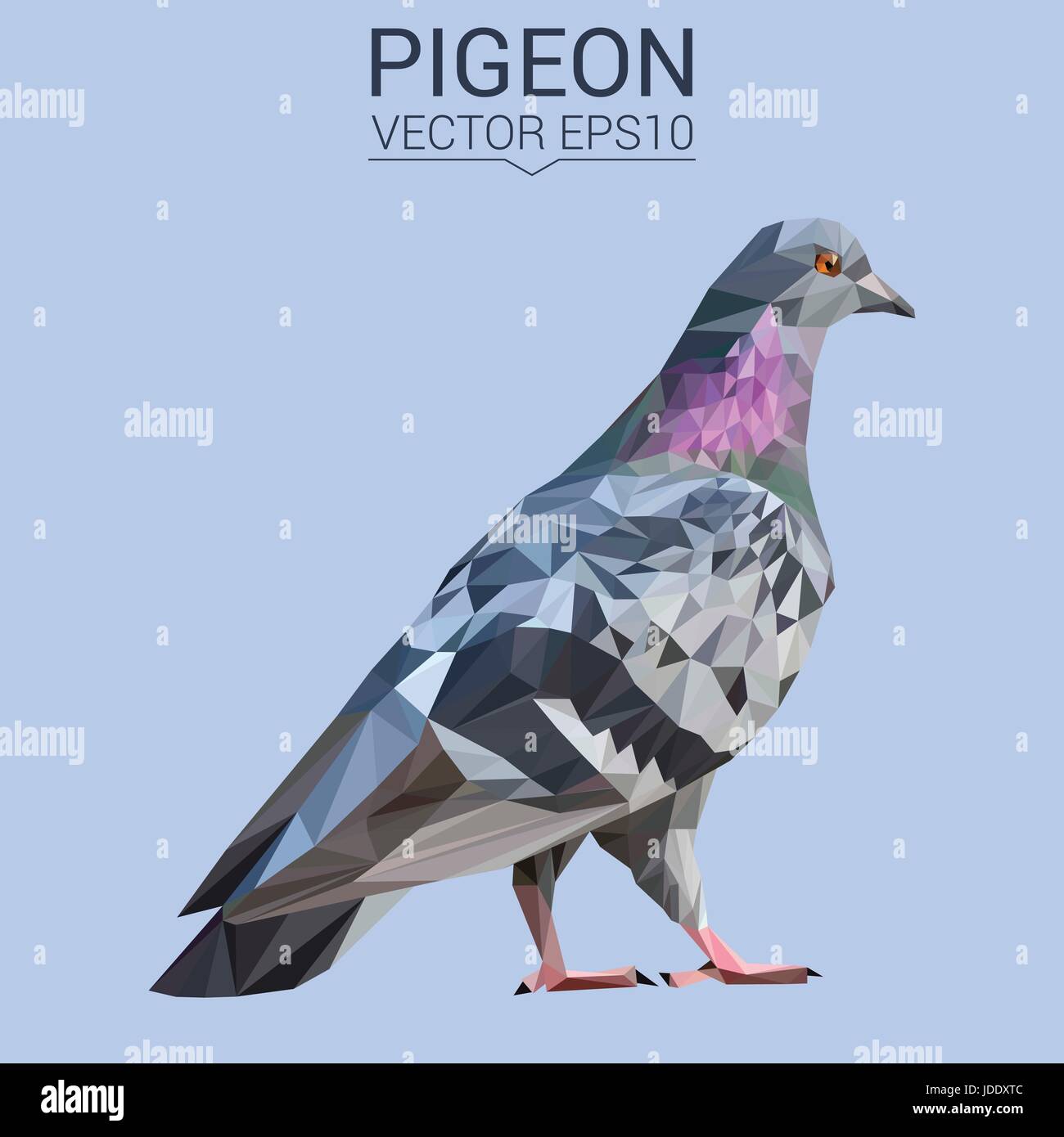 Pigeon bird animal low poly design. Triangle vector illustration Stock ...