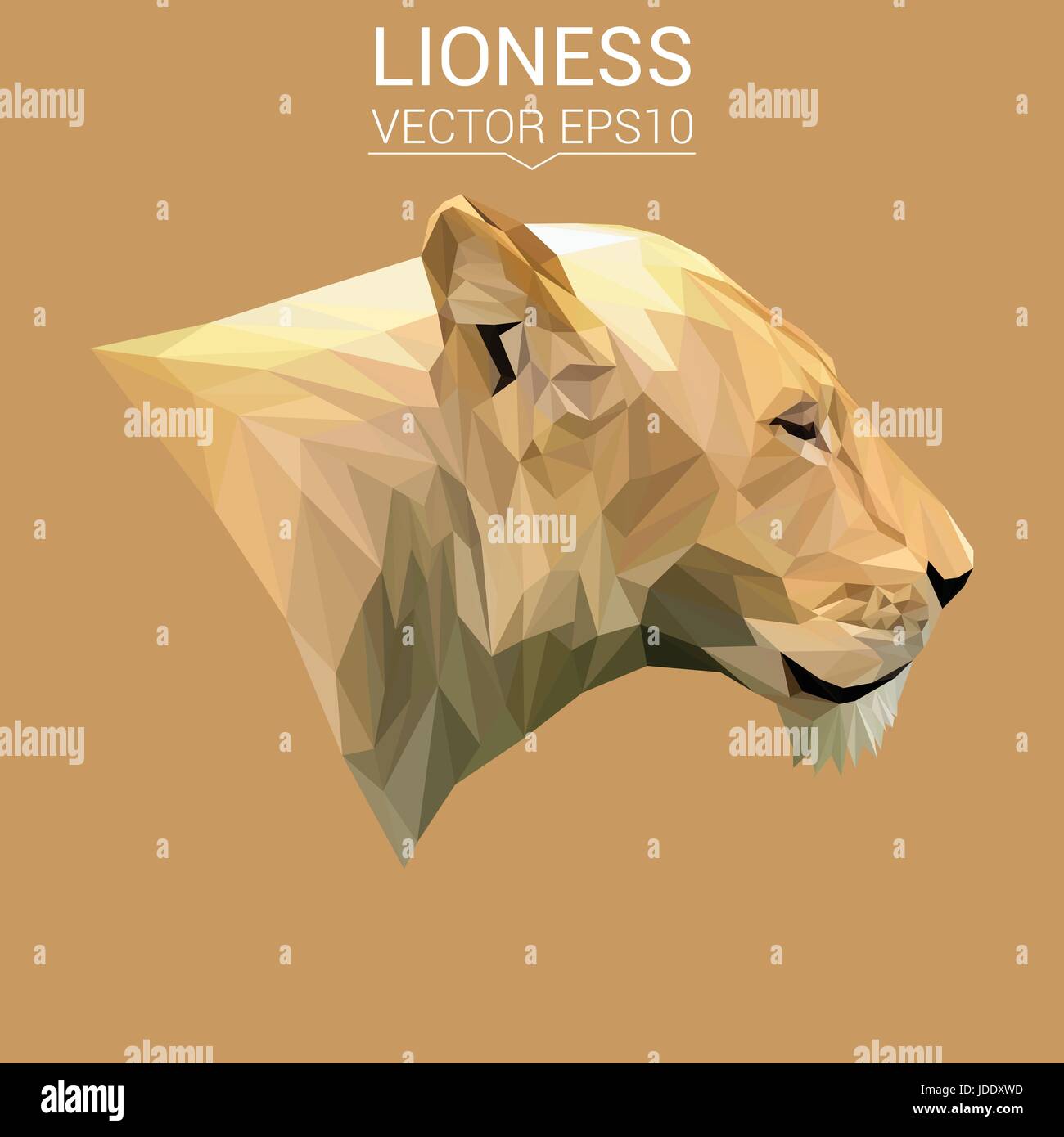 Lioness cat animal low poly design. Triangle vector illustration Stock ...