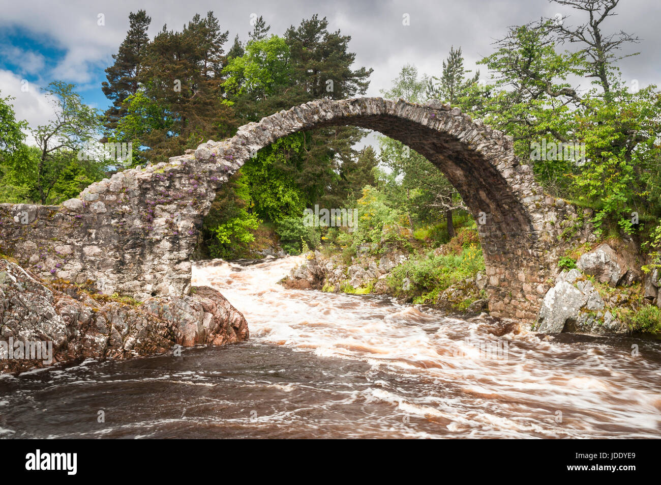 The River Dulnain in spate flowing under the packhorse bridge at ...