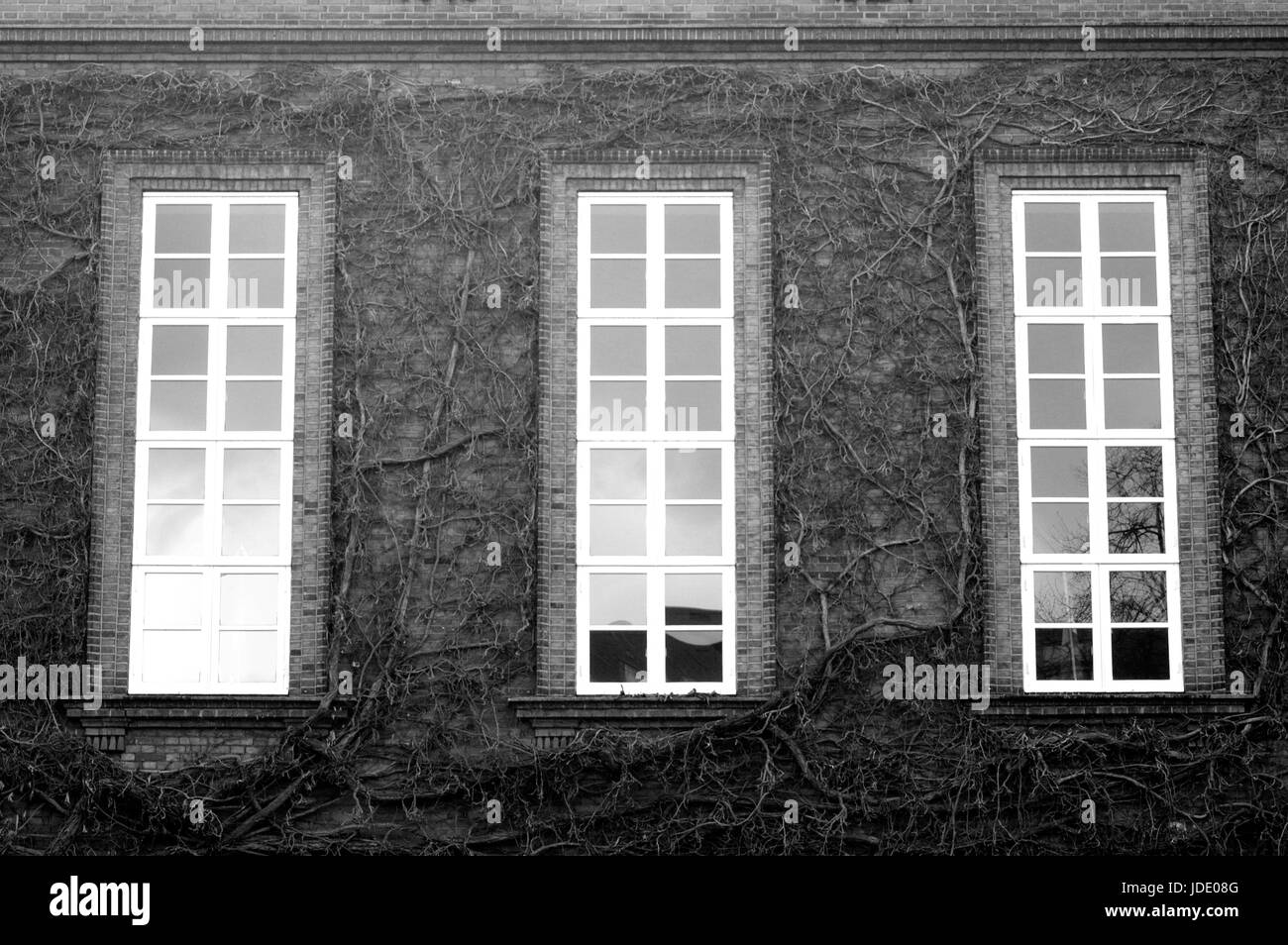 Window, Windows, Window frame, Window view, Architecture Stock Photo ...