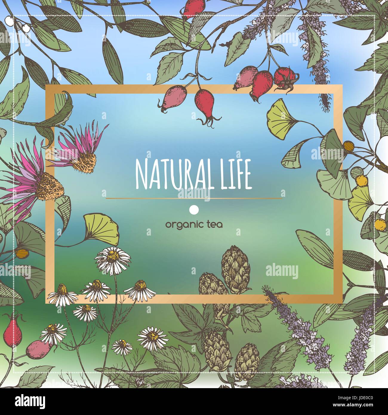 Color organic tea label decorated with hand drawn herbs Stock Vector ...