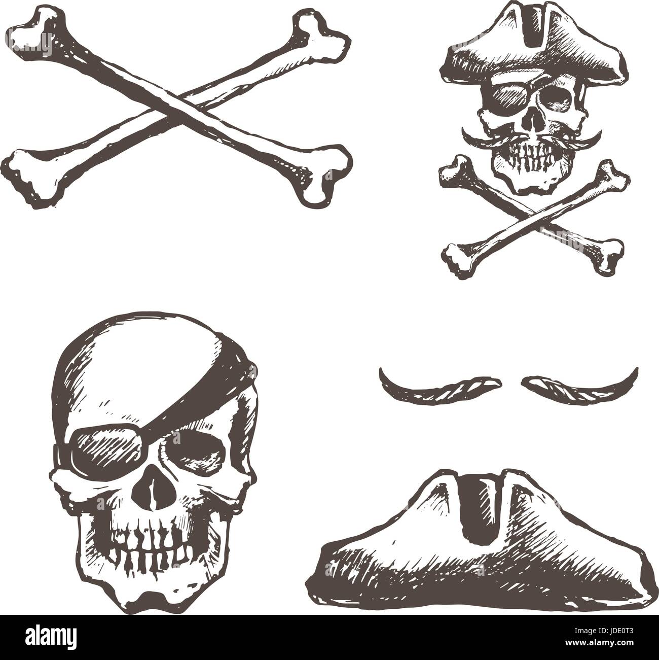 A human skull Stock Vector Images - Alamy